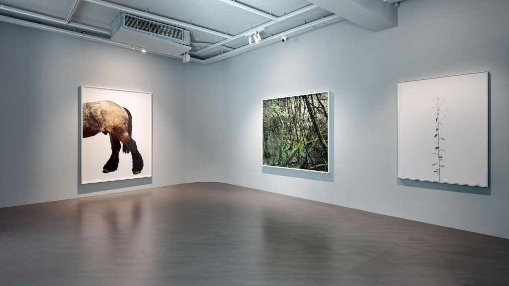 CRITICISM -《As Time》 – 暮拉多元藝術空間